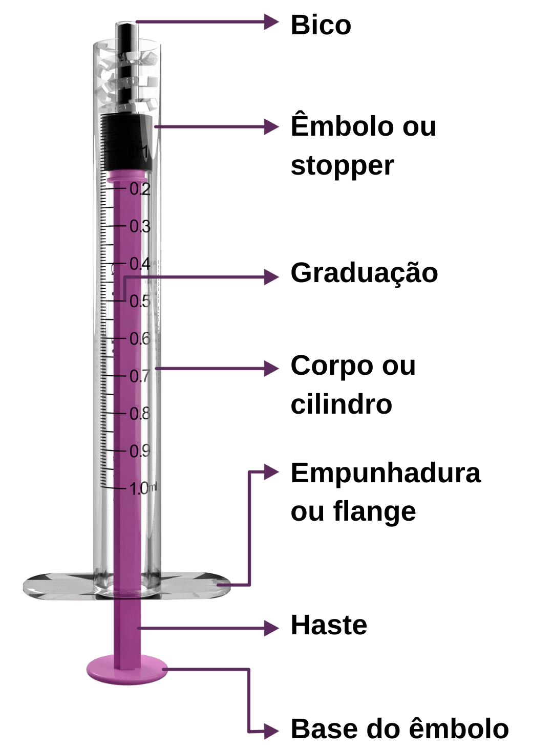 Tipos De Seringas: Quais Modelos E Indicações